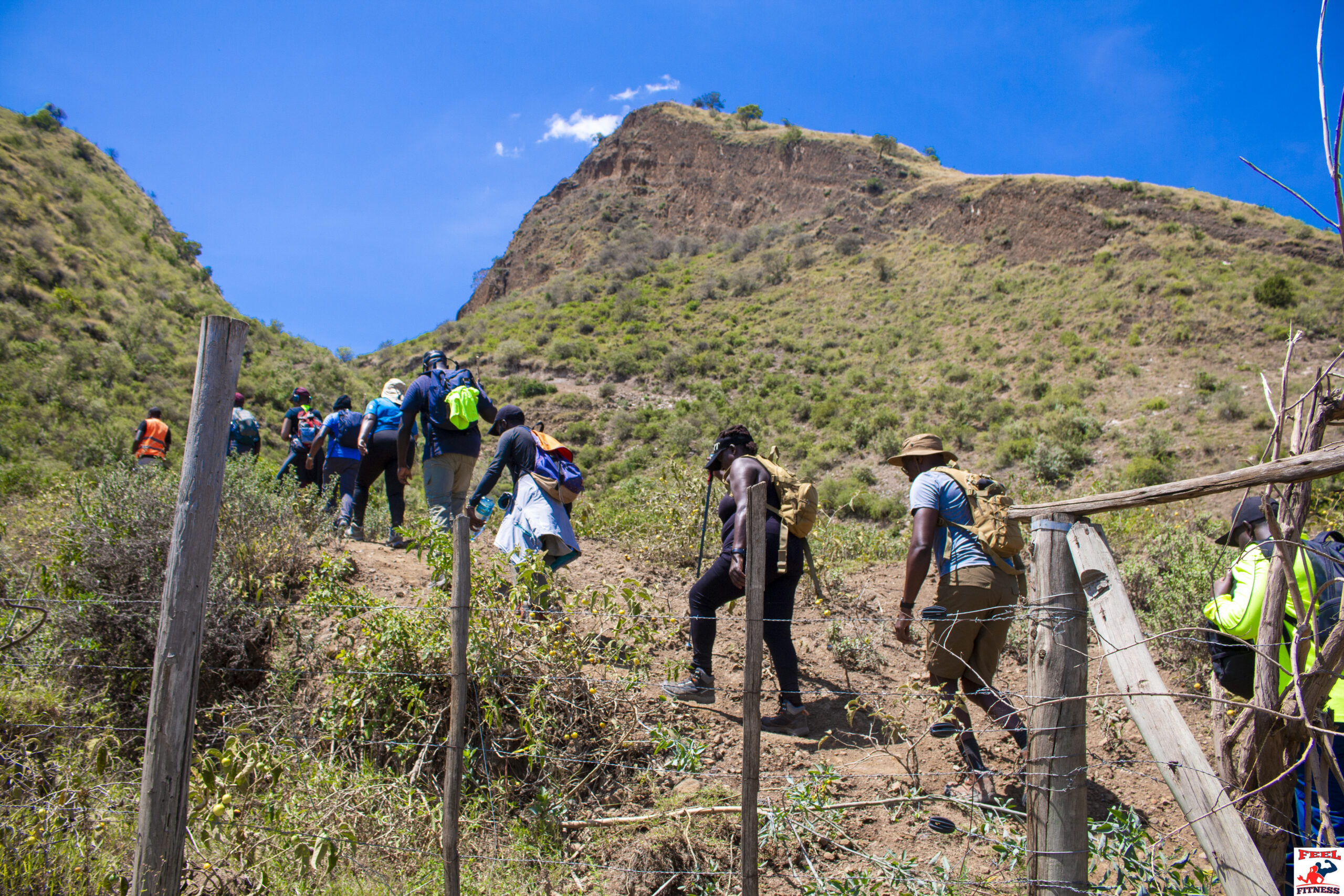 Blog - The Feelfitness Center